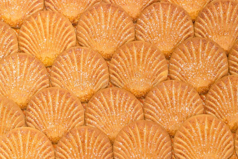 Background of the Cookies in the Form of a Shells Stock Photo - Image ...