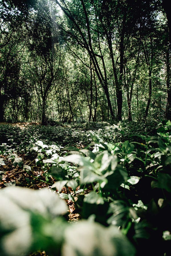 Rise Shine Ladies Stock Photos - Free & Royalty-Free Stock Photos from ...