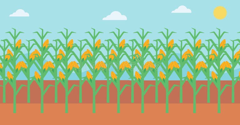 Cartoon Corn Field Stock Illustrations – 3,260 Cartoon Corn Field Stock ...