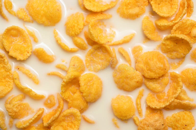 Background of Corn Flakes with Milk Close-up. Morning Breakfast Stock ...