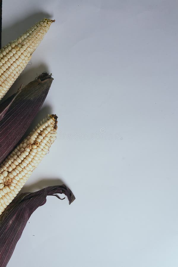 Background Corn Wallpaper To Food Stock Image - Image of close, glass ...