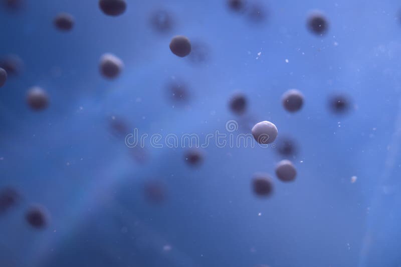 Microcapsules in Cosmetics. Background Stock Photo - Image of ...