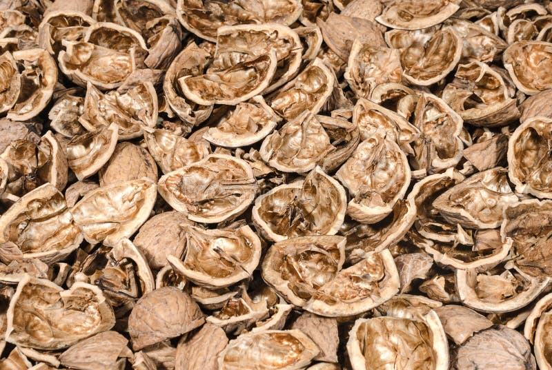 Background of Cracked Walnut Shells Stock Photo - Image of background ...