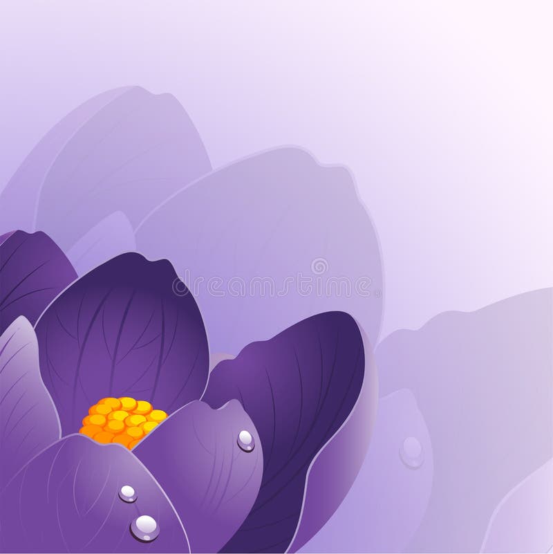 Background with Crocus Flower Stock Illustration - Illustration of ...