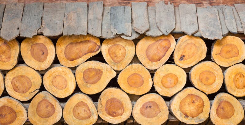 Background of Cross Section of Tree Trunks, Used As Wall Stock Photo ...