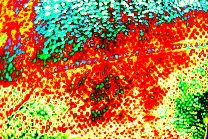 Background of Crowded Fish Scales, Bokeh, Changed Color Scheme. Texture ...