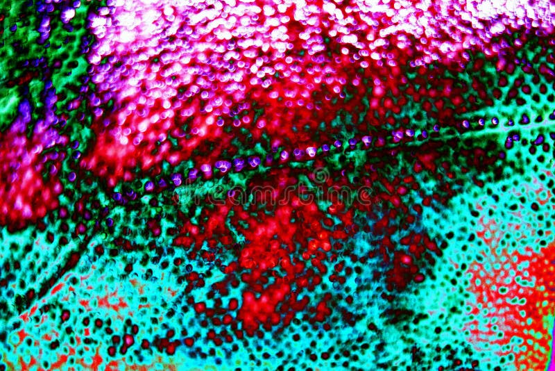 Background of Crowded Fish Scales, Bokeh, Changed Color Scheme. Texture ...