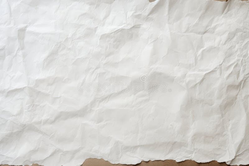 Background Crumpled Empty Sheet Rough Parchment Page Paper White Blank ...