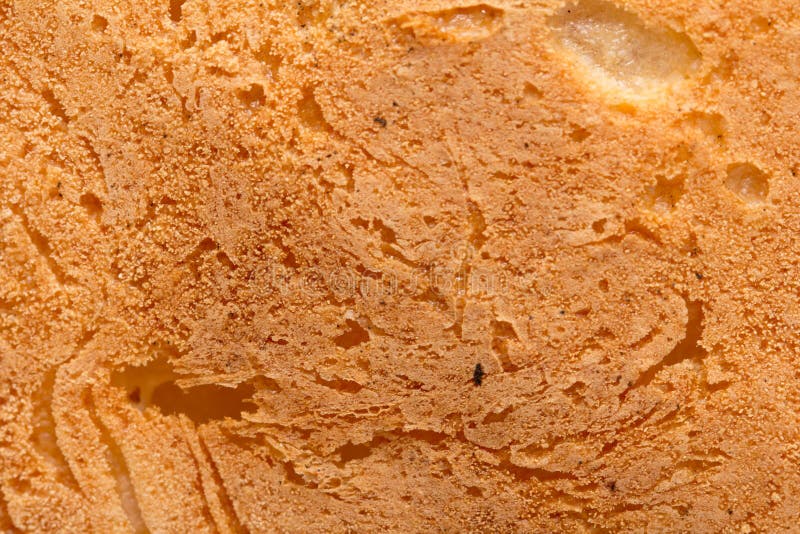 Background of a Crust of Bread. Macro Stock Image - Image of freshness ...