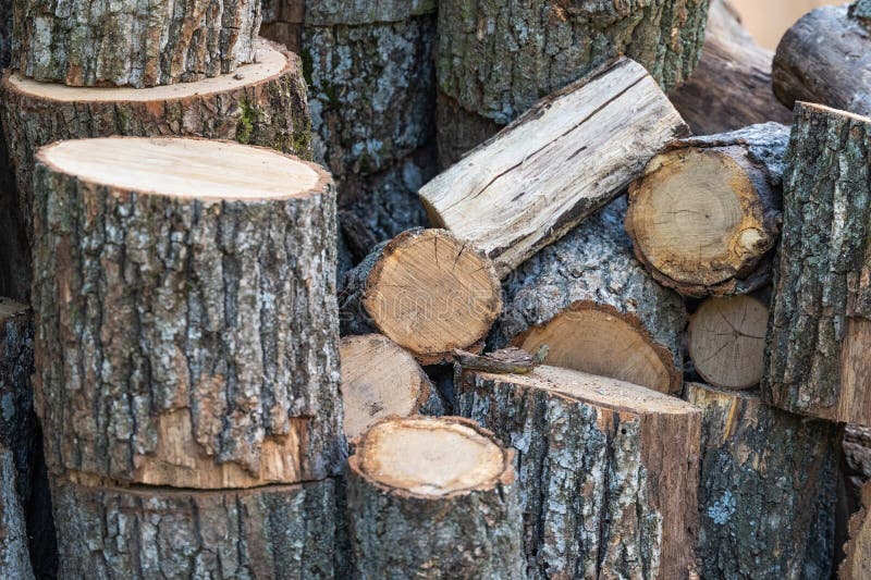 Background of Cut Oak Firewood Stock Image - Image of split, wooden ...