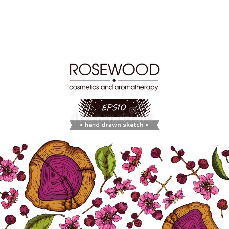 Background With Cut Of A Rosewood And Twigs With Flowers And Buds Detailed Hand Drawn Sketches