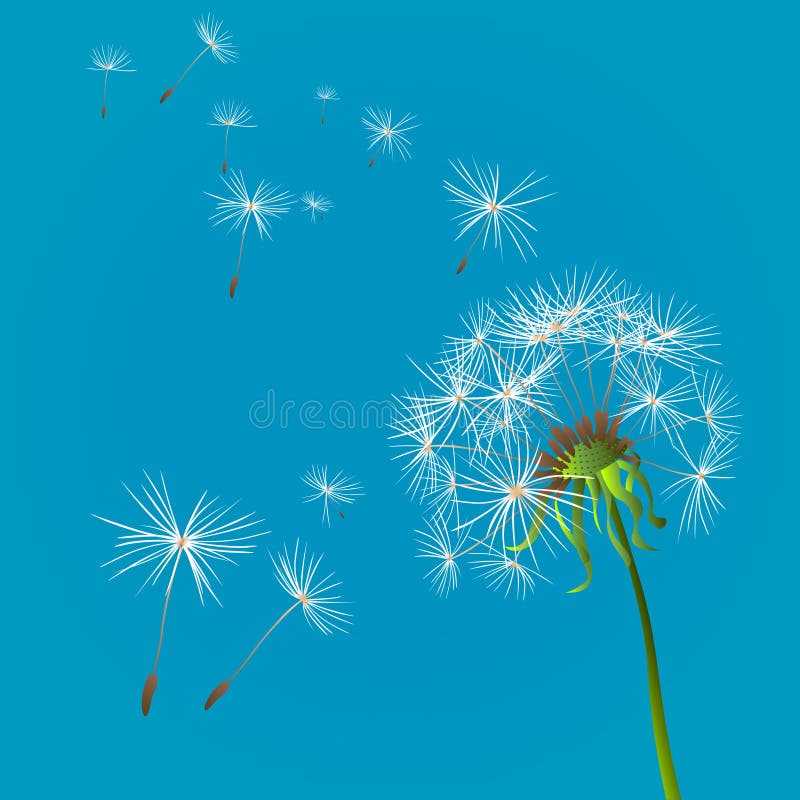 Dandelion wish stock vector. Illustration of minimal - 85761354