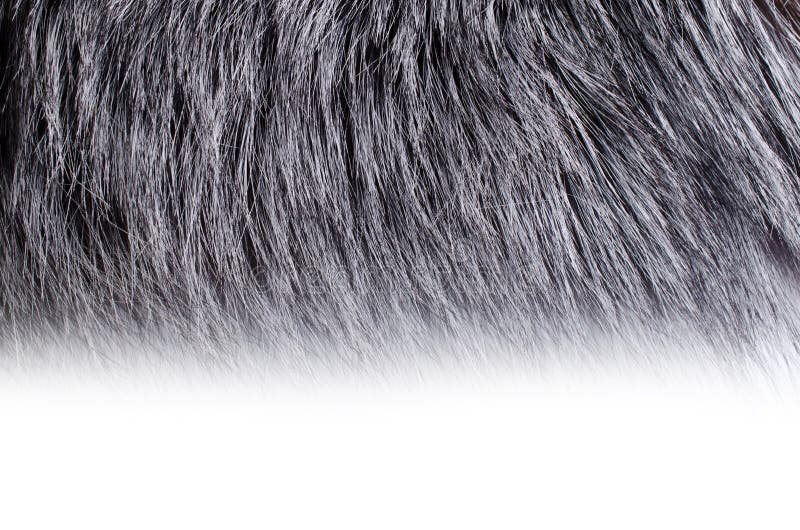 Background of dark fur stock photo. Image of backdrop - 68848214