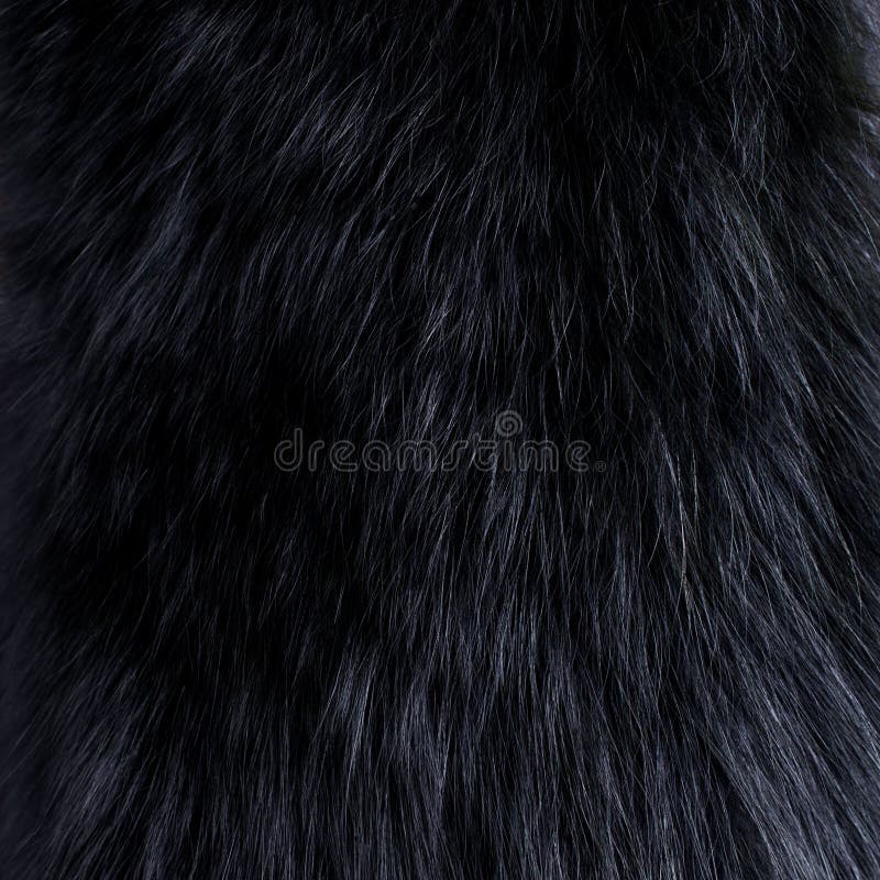 Background of dark fur stock photo. Image of backdrop - 68848214