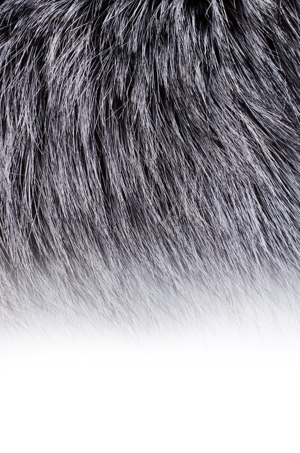 Background of dark fur stock photo. Image of hair, carpet - 68850538