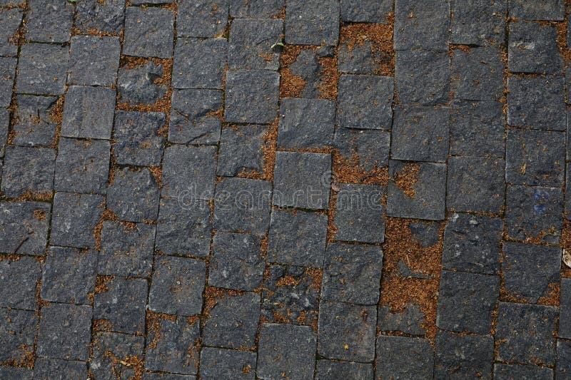Background of Dark Grey Cube Stone Pavement with Dry Pine Needles ...