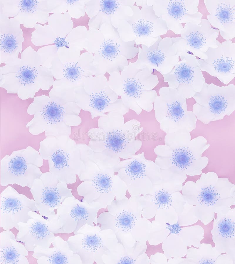 Background of Delicate Flowers . Floral Background Stock Image - Image ...