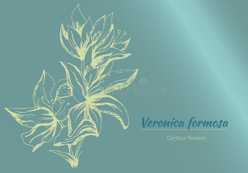 Background with Delicate Painted Flowers. Postcard, Text Frame. Spring ...