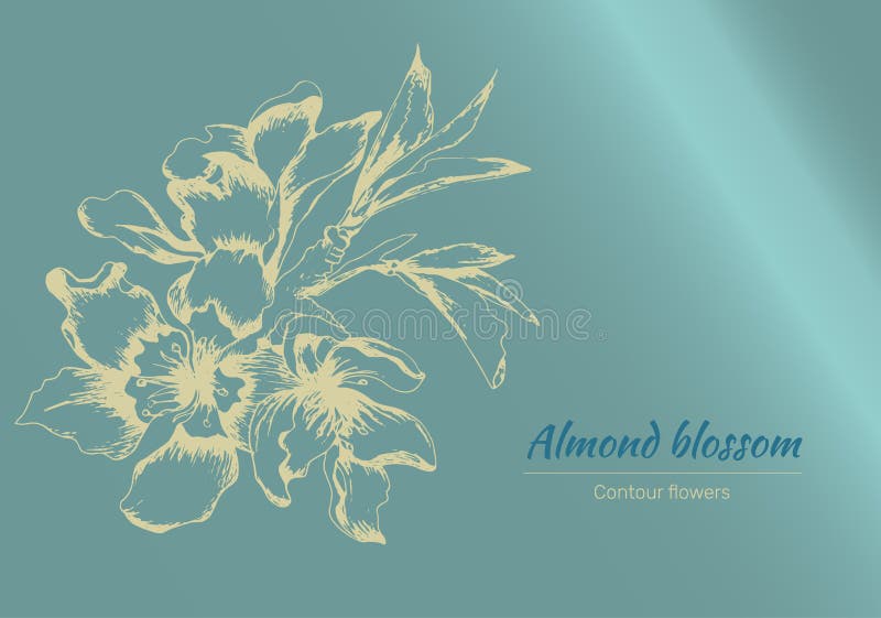 Background with Delicate Painted Flowers. Postcard, Text Frame. Spring ...