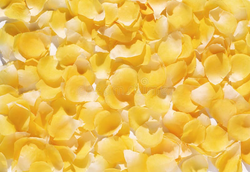 Background Of Delicate Yellow Flower Petals Stock Photo - Image: 39434444