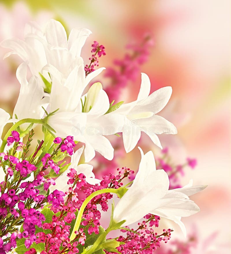 Background for Design with Flowers, Beautiful Bouquet of Flowers Stock ...