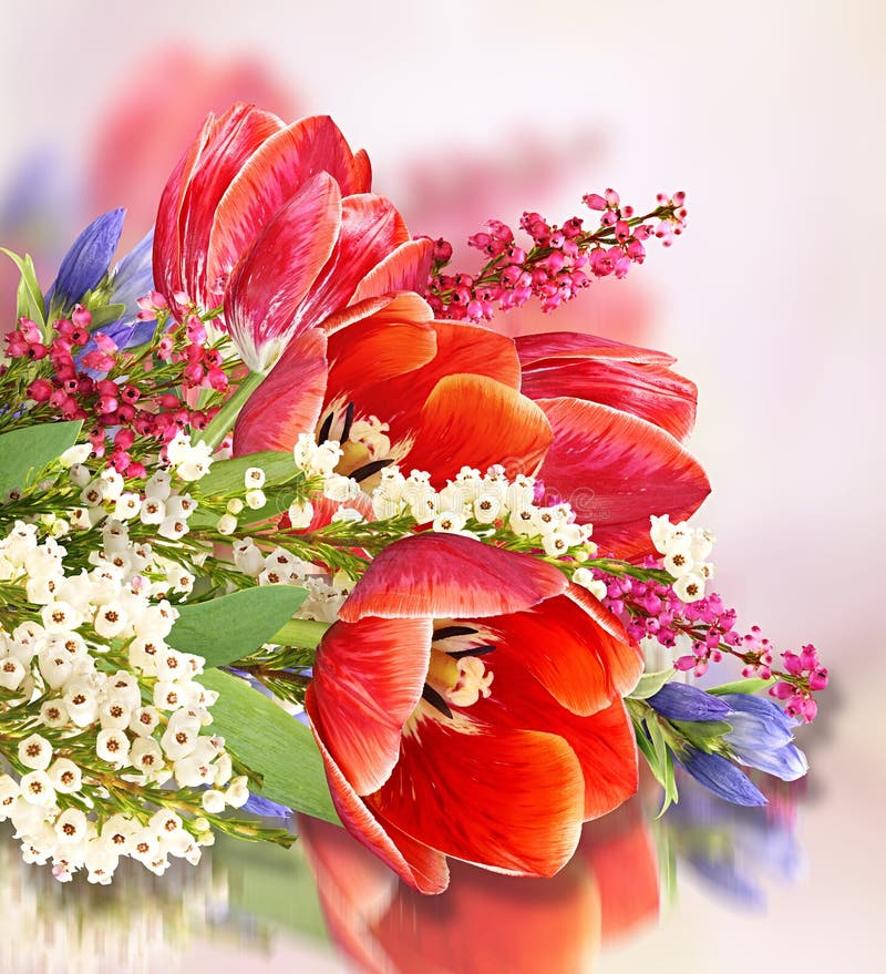 Background for Design with Flowers, Beautiful Bouquet of Flowers Stock ...