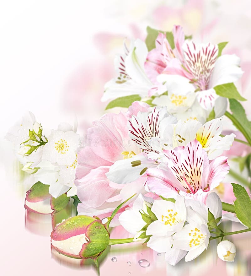 Background for Design with Flowers, Beautiful Bouquet of Flowers Stock ...