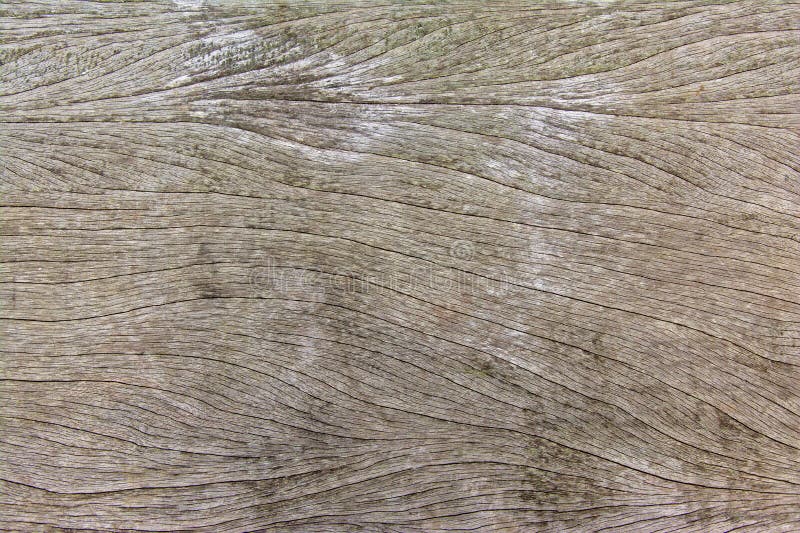 Wood Texture with Horizontal Curved Lines Stock Image - Image of grain ...