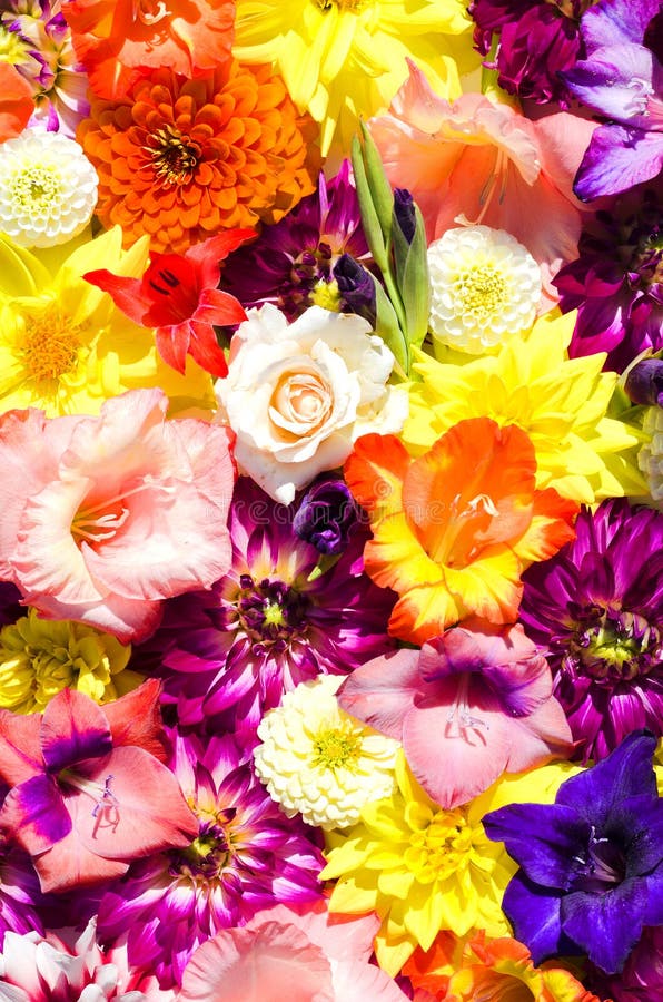 Background with Different Bright Flowers Stock Image - Image of nature ...