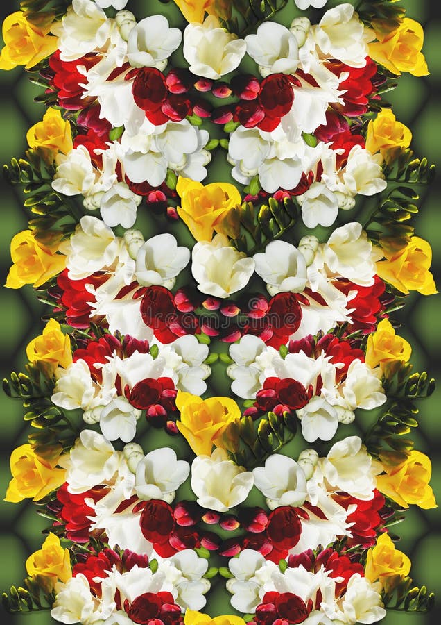 Background of Different Color Flowers Freesia Stock Image - Image of ...