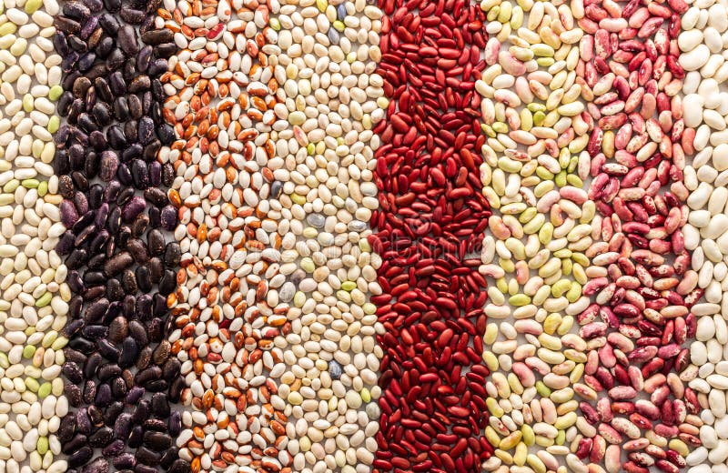 Background from Different Types of Beans Stock Photo - Image of ...