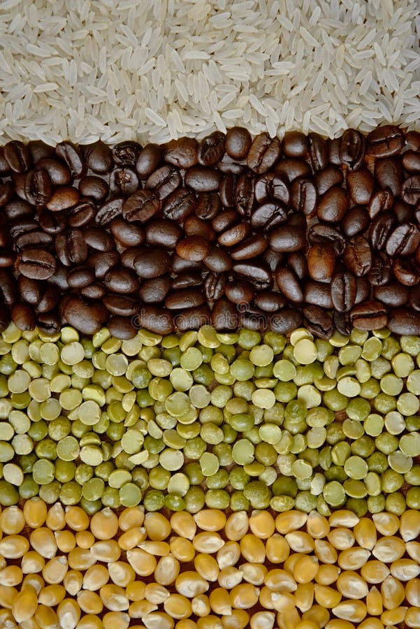 Background with Different Types of Cereals, Corn Seeds, Rice Grains ...
