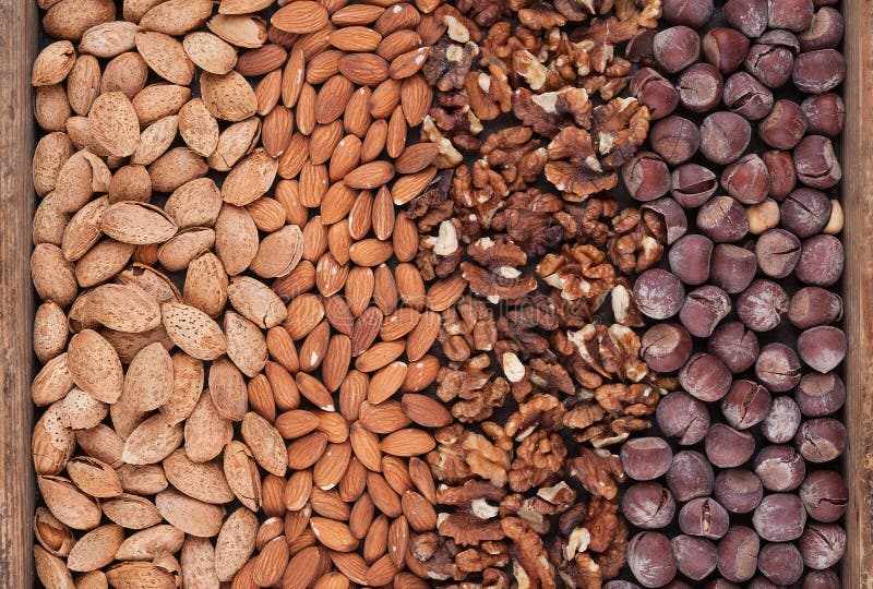 Background of Different Varieties of Nuts Stock Photo - Image of shells ...