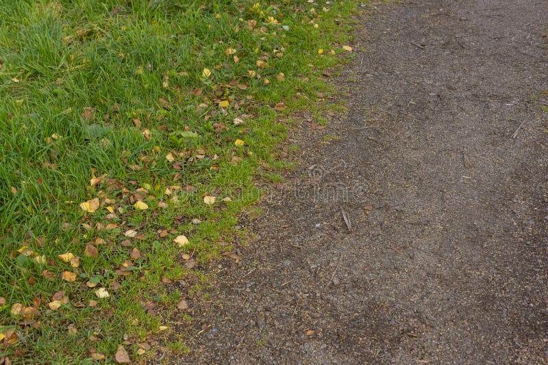 Background of Dirt Path and Green Lawn with Fallen Autumn Leaves Stock ...