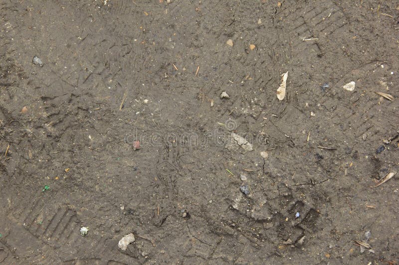 Background of Dirt. Texture of Ground after Rain Stock Image - Image of ...