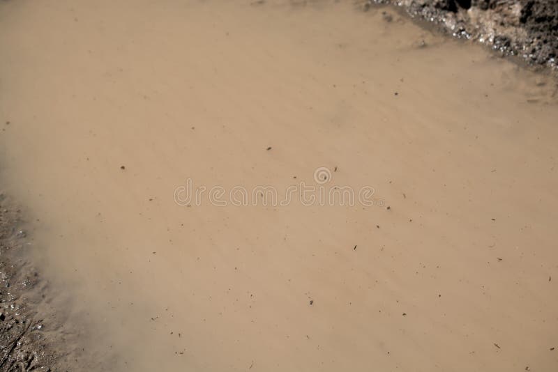 Background of Dirty Muddy Water Stock Photo - Image of nature ...