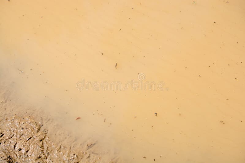 Background of Dirty Muddy Water Stock Photo - Image of dirty, puddle ...