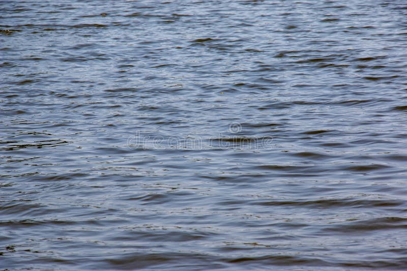 Background of Dnieper River Water Surface with Ripples. Natural Color ...