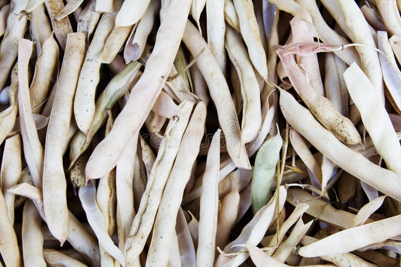 Background of Dried Beans Shuck Stock Photo - Image of bean, organic ...