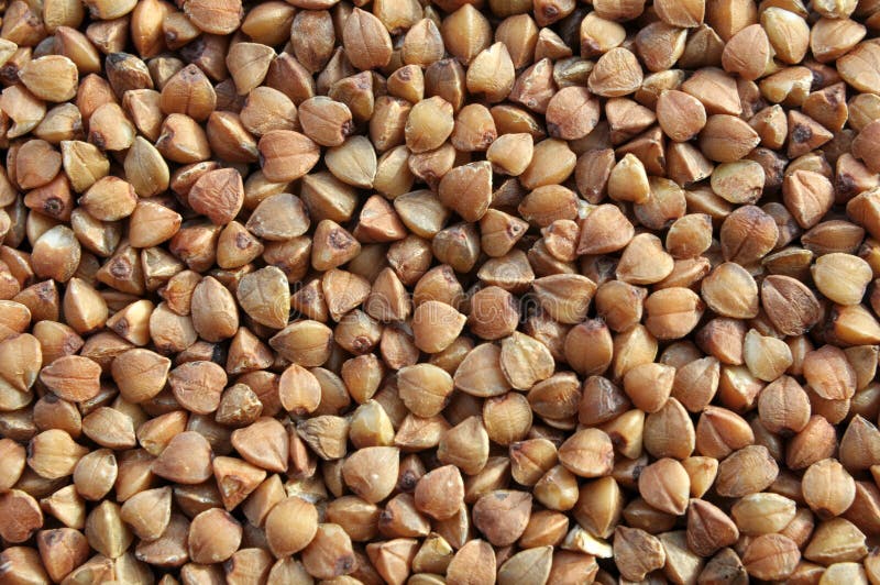 Background of Dried Buckwheat Stock Image - Image of heap, macro: 177861927