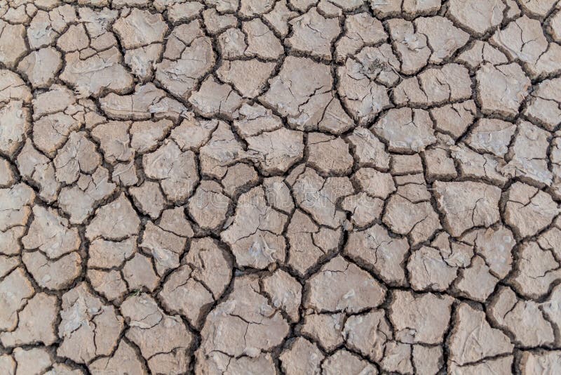 Dried mud cracks stock photo. Image of outdoor, ecology - 187539942