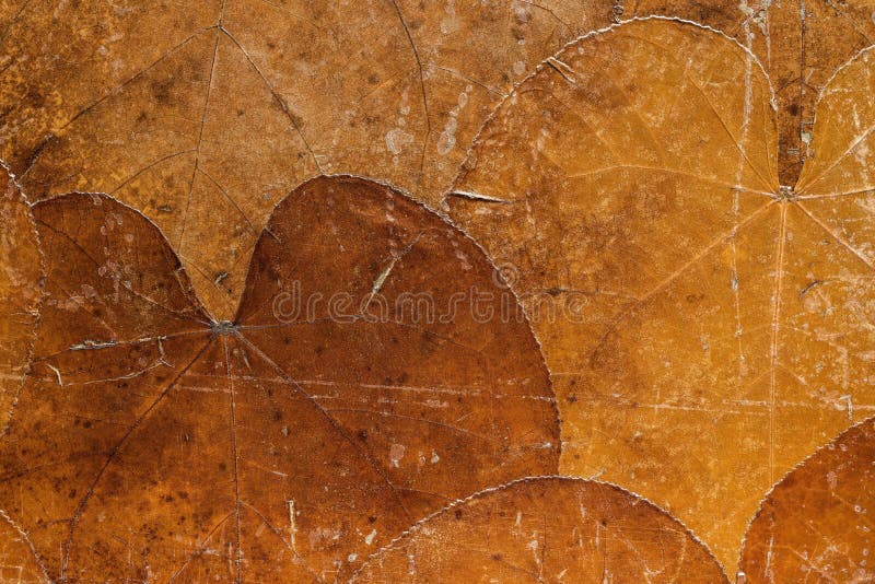Background from Dried Old Leaves of Rusty Color Stock Image - Image of ...