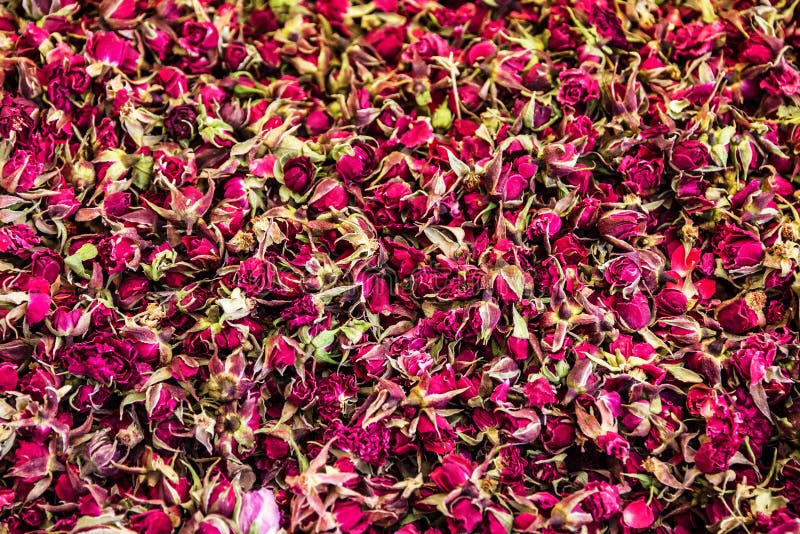 Background of Dried Petals of Rose. Dry Clover Flower Tea. Stock Image ...