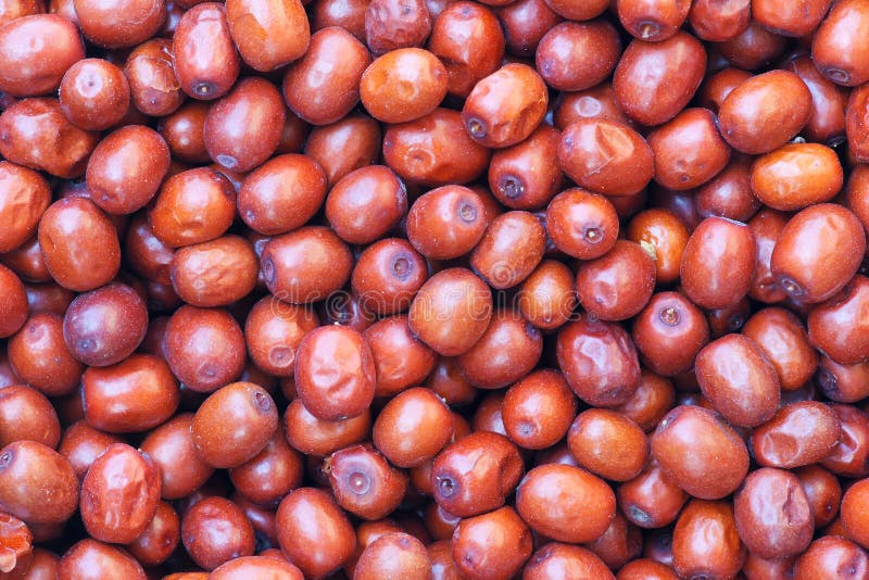 Botswana Indegenous Fruits; Mogwana Stock Image - Image of wild, cattle ...