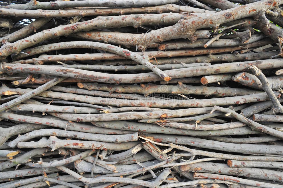 Background with Dry Branches Stacked for Fire Stock Image - Image of ...
