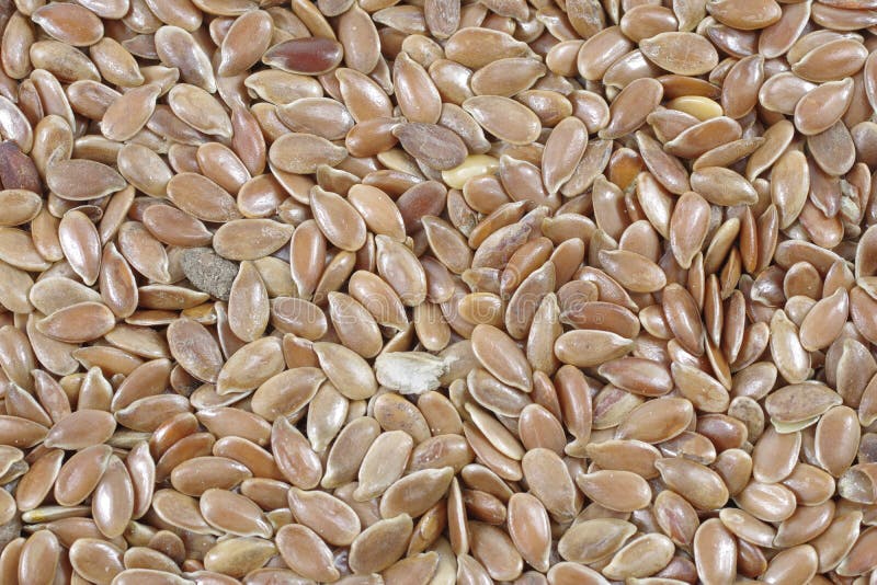 Dry flax seeds stock image. Image of cereal, alternative - 108325571