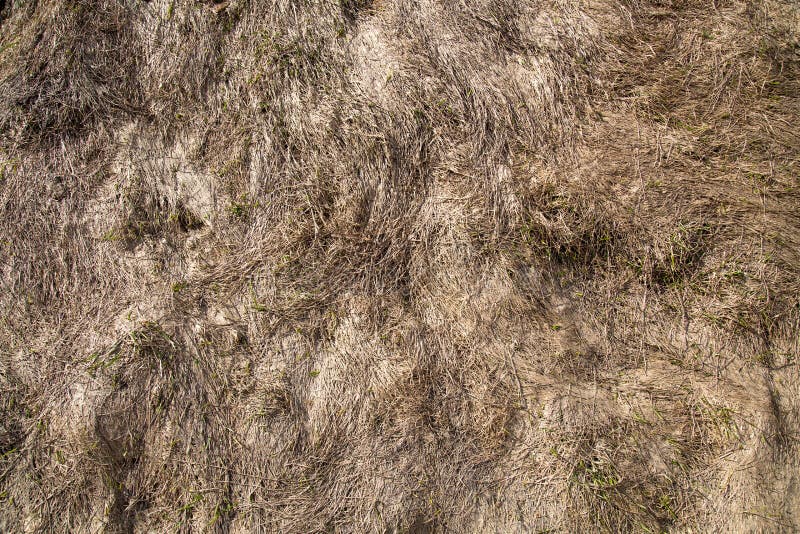 Background of Dry Grass on the Slope in Early Spring. Stock Photo ...