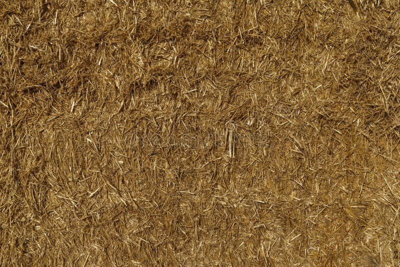 Background of Dry Straw Stalks Stock Photo - Image of harvest, forage ...