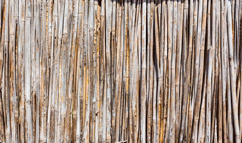 Background stock image. Image of textured, bark, organic - 139349257
