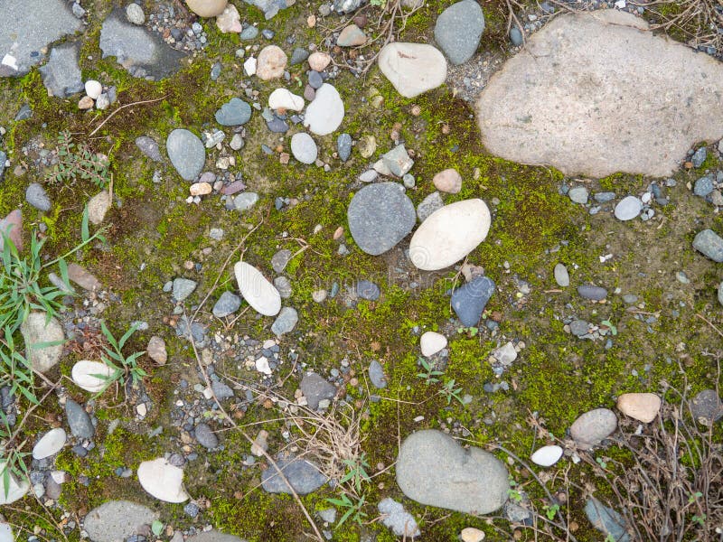 Background from Earth, Stones and Moss. Ground Under Your Feet ...